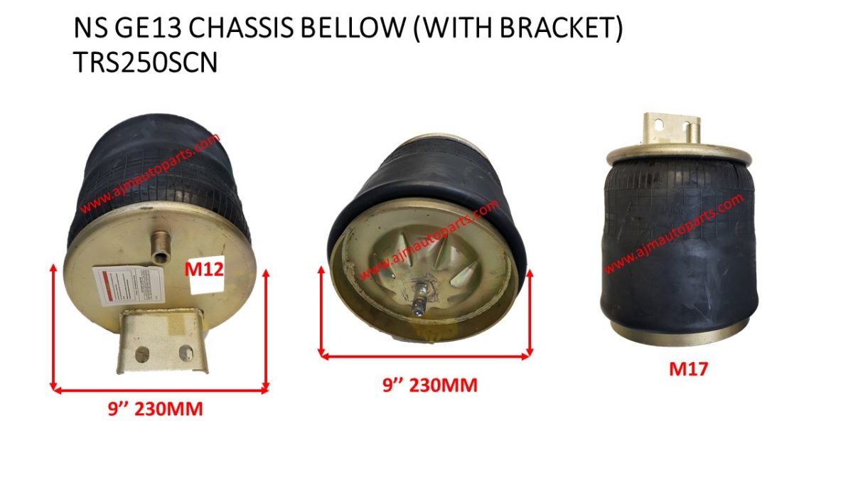 NISSAN UD GE13 CHASSIS AIR SPRING ASSEMBLY – TRS250SCN | AJM AUTO MALAYSIA